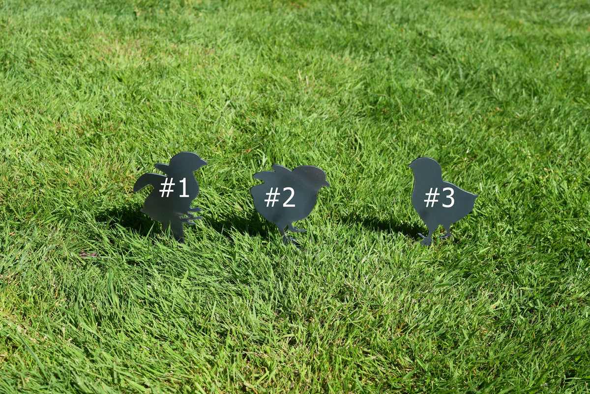 Steel Chicken Yard Stakes